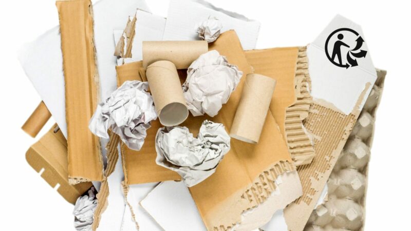 Logo Triman, comment bien l'utiliser ? | Version végétale